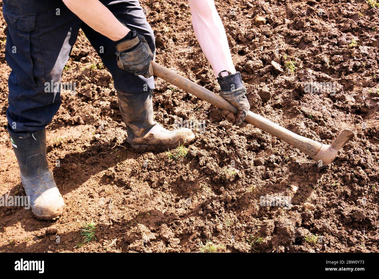 Old man digging ground hi-res stock photography and images - Alamy