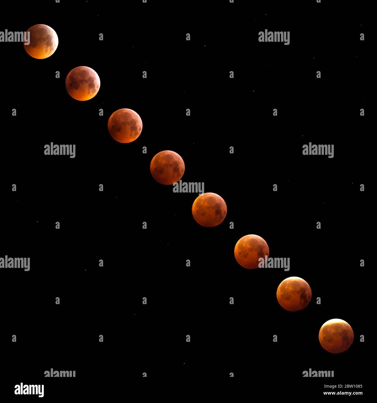 the super blood wolf moon eclipse Stock Photo - Alamy