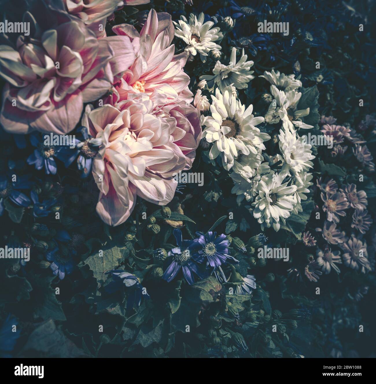 Flower Field background. Vintage style Stock Photo - Alamy