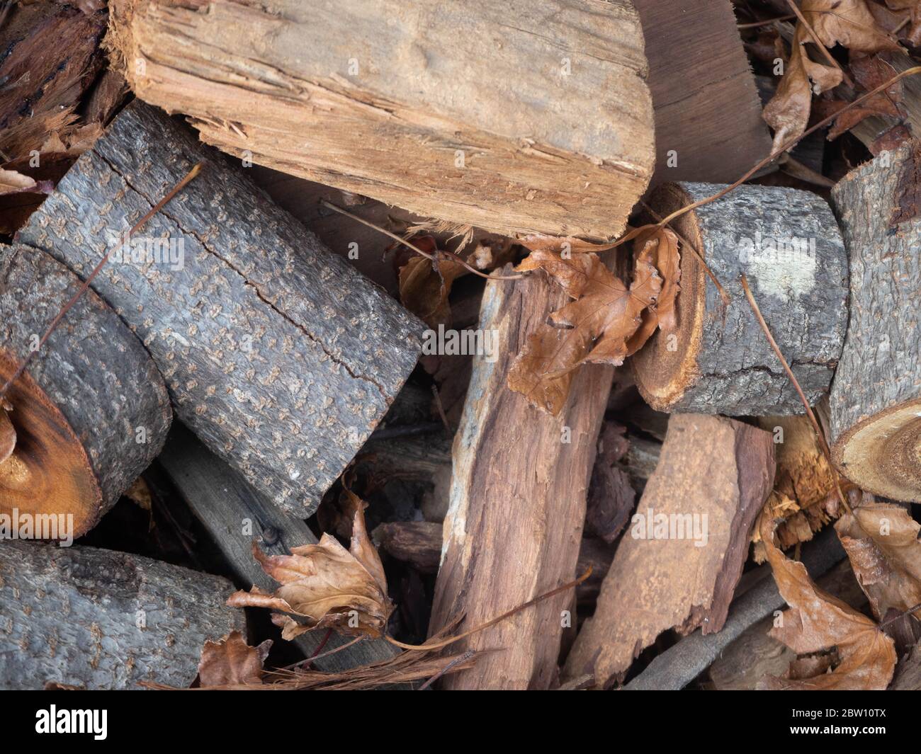 chopped up wood on the ground Stock Photo - Alamy