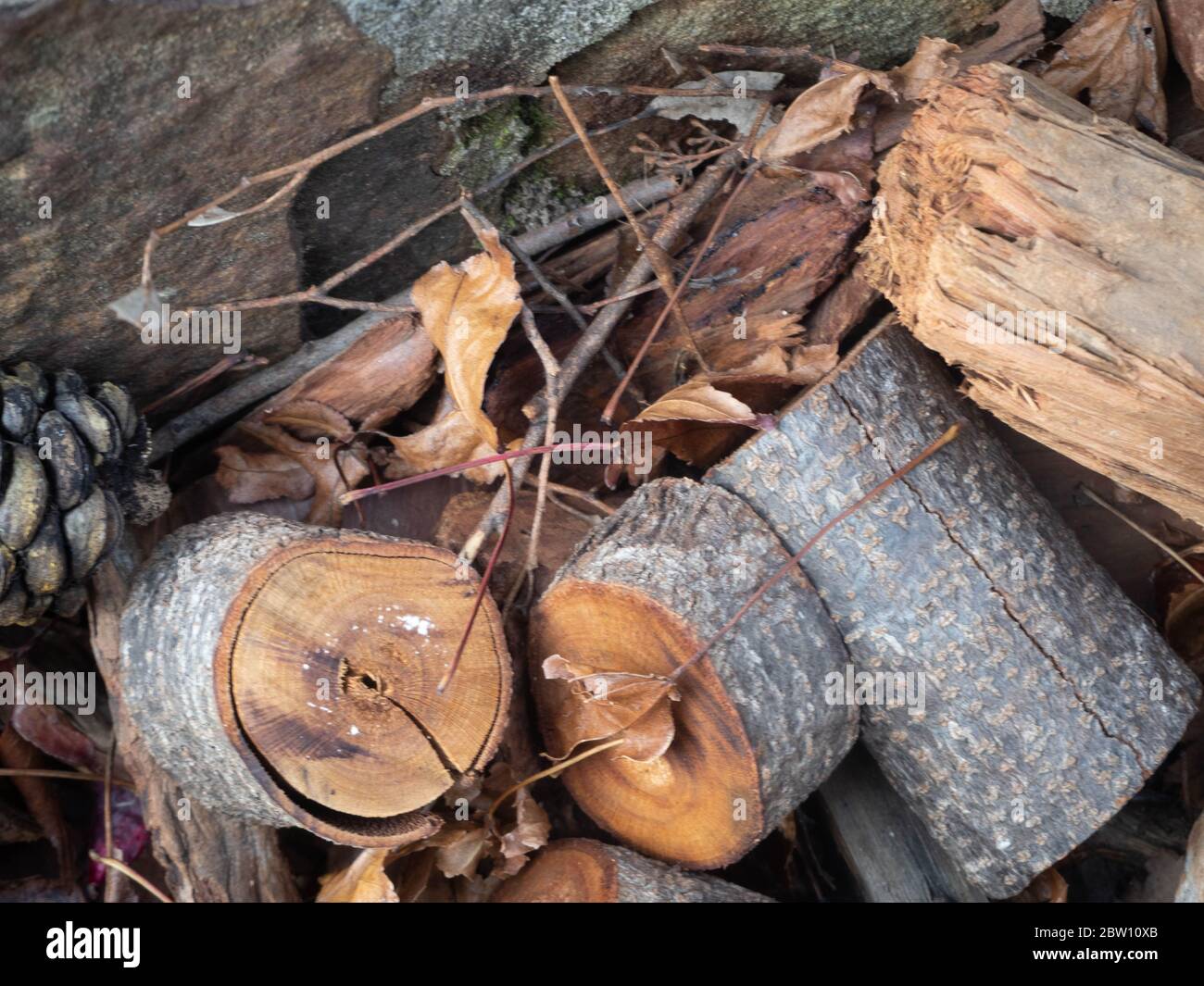 chopped up wood on the ground Stock Photo - Alamy