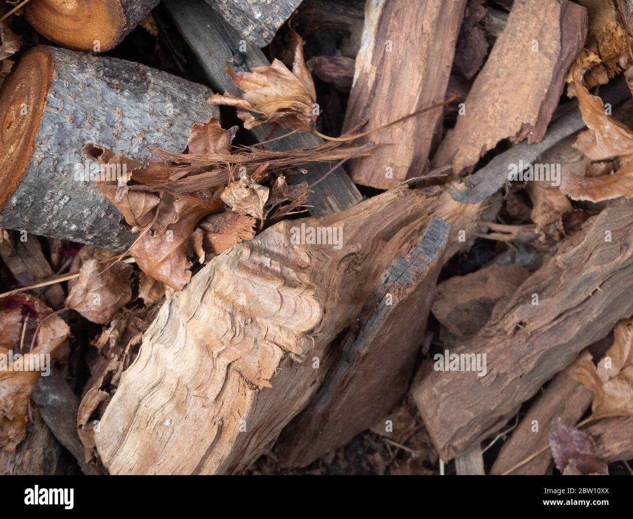 chopped up wood on the ground Stock Photo - Alamy