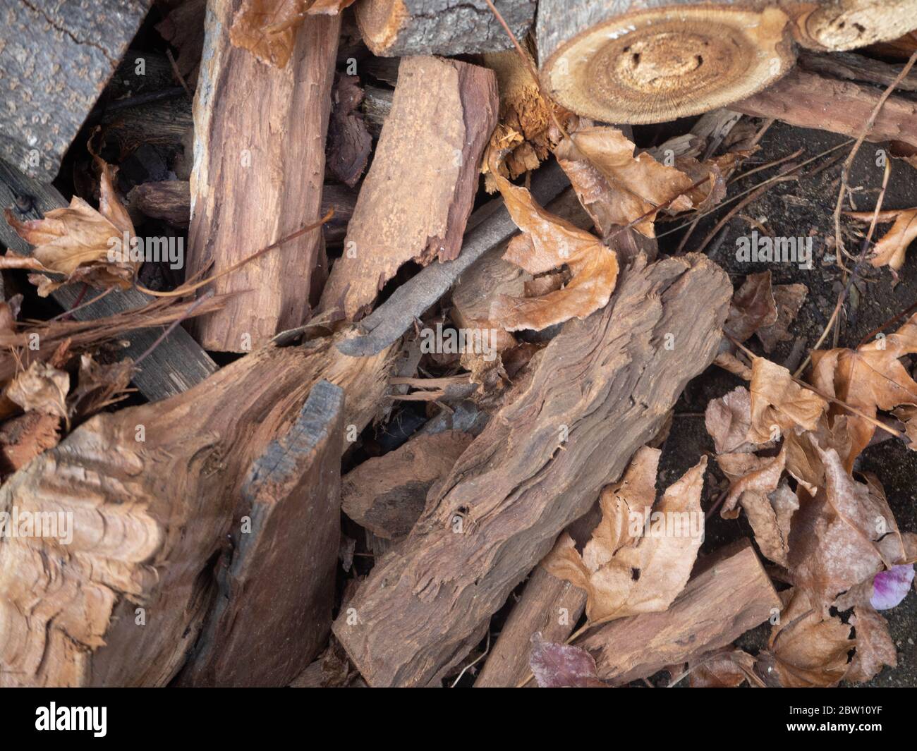 chopped up wood on the ground Stock Photo - Alamy