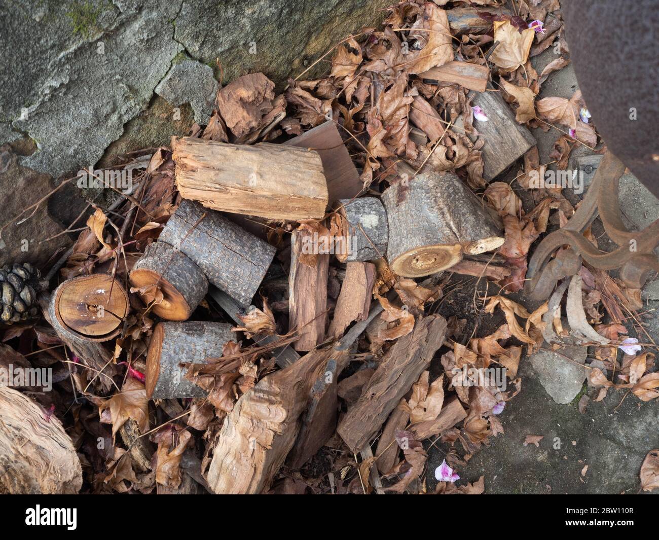 chopped up wood on the ground Stock Photo - Alamy