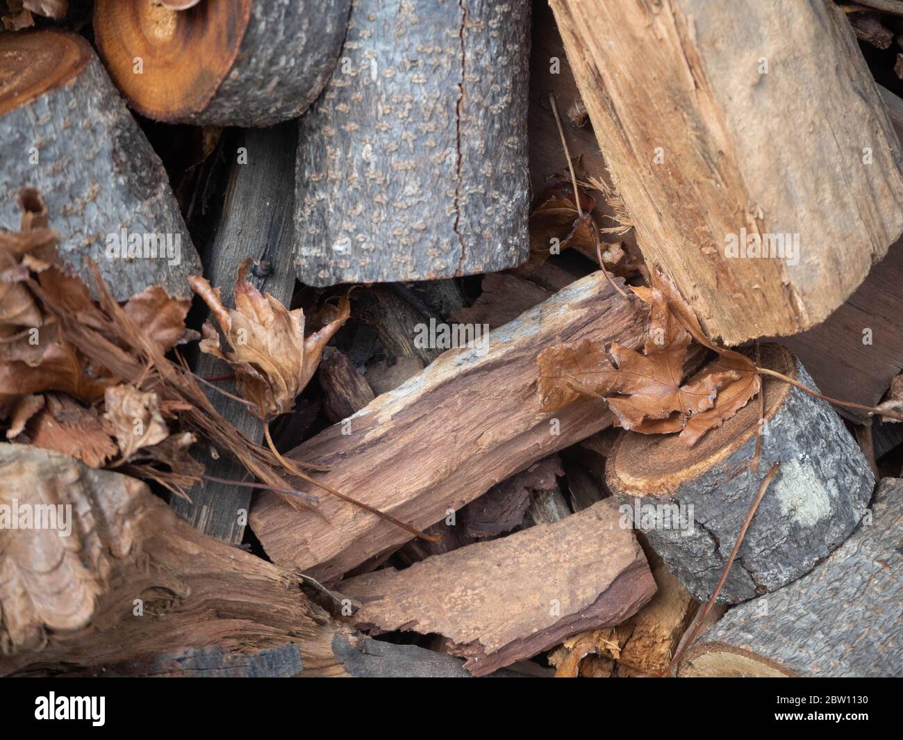 chopped up wood on the ground Stock Photo - Alamy