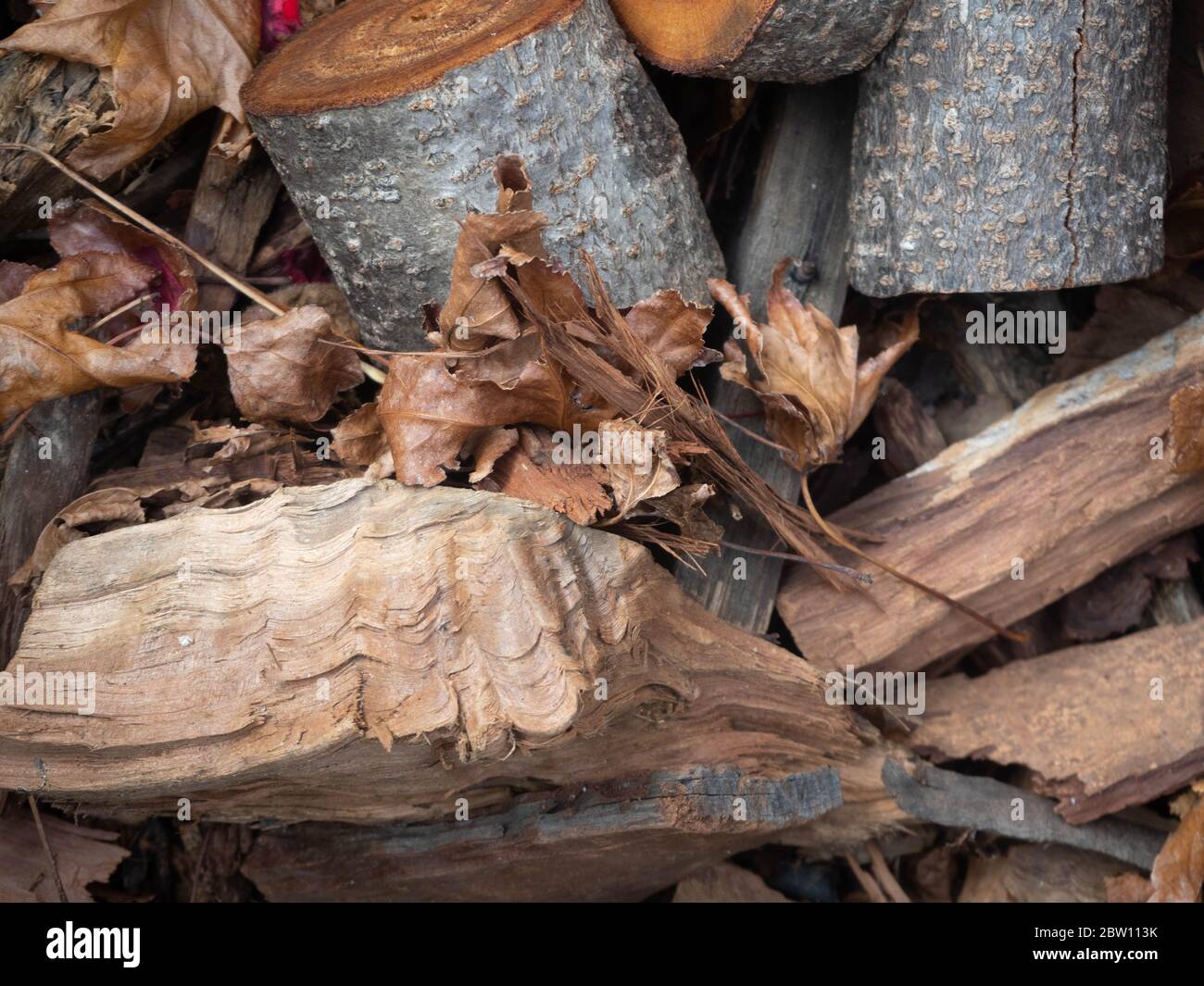 chopped up wood on the ground Stock Photo - Alamy
