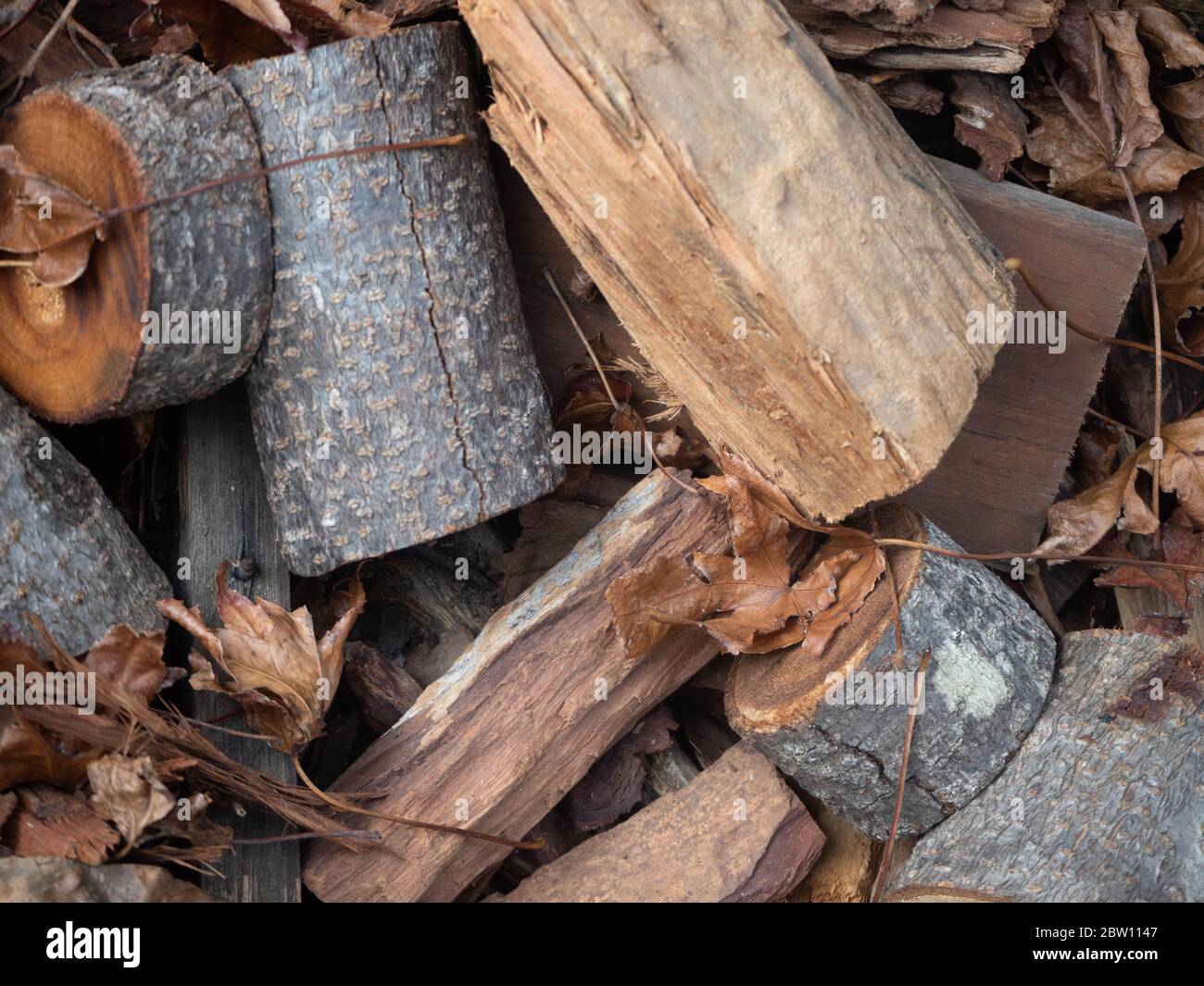 chopped up wood on the ground Stock Photo - Alamy