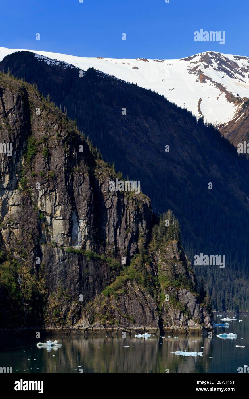 Endicott Arm, Holkham Bay, Juneau, Alaska, USA Stock Photo - Alamy
