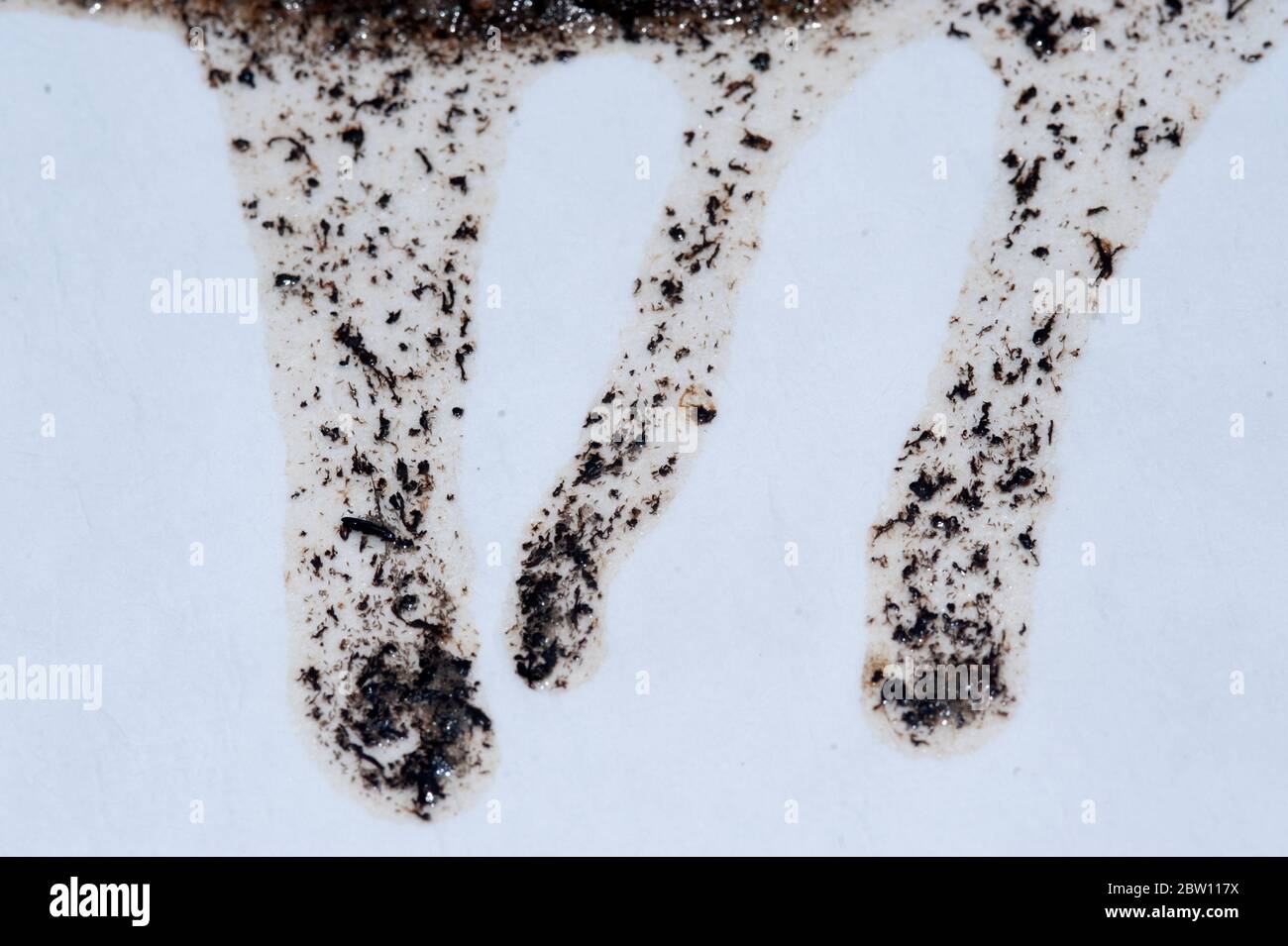 Oil absorbing paper at the beach Stock Photo - Alamy