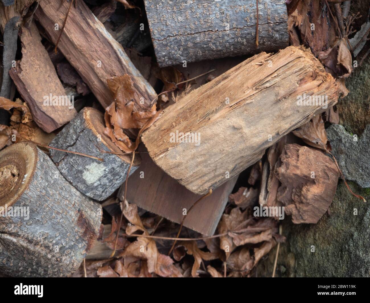 chopped up wood on the ground Stock Photo - Alamy