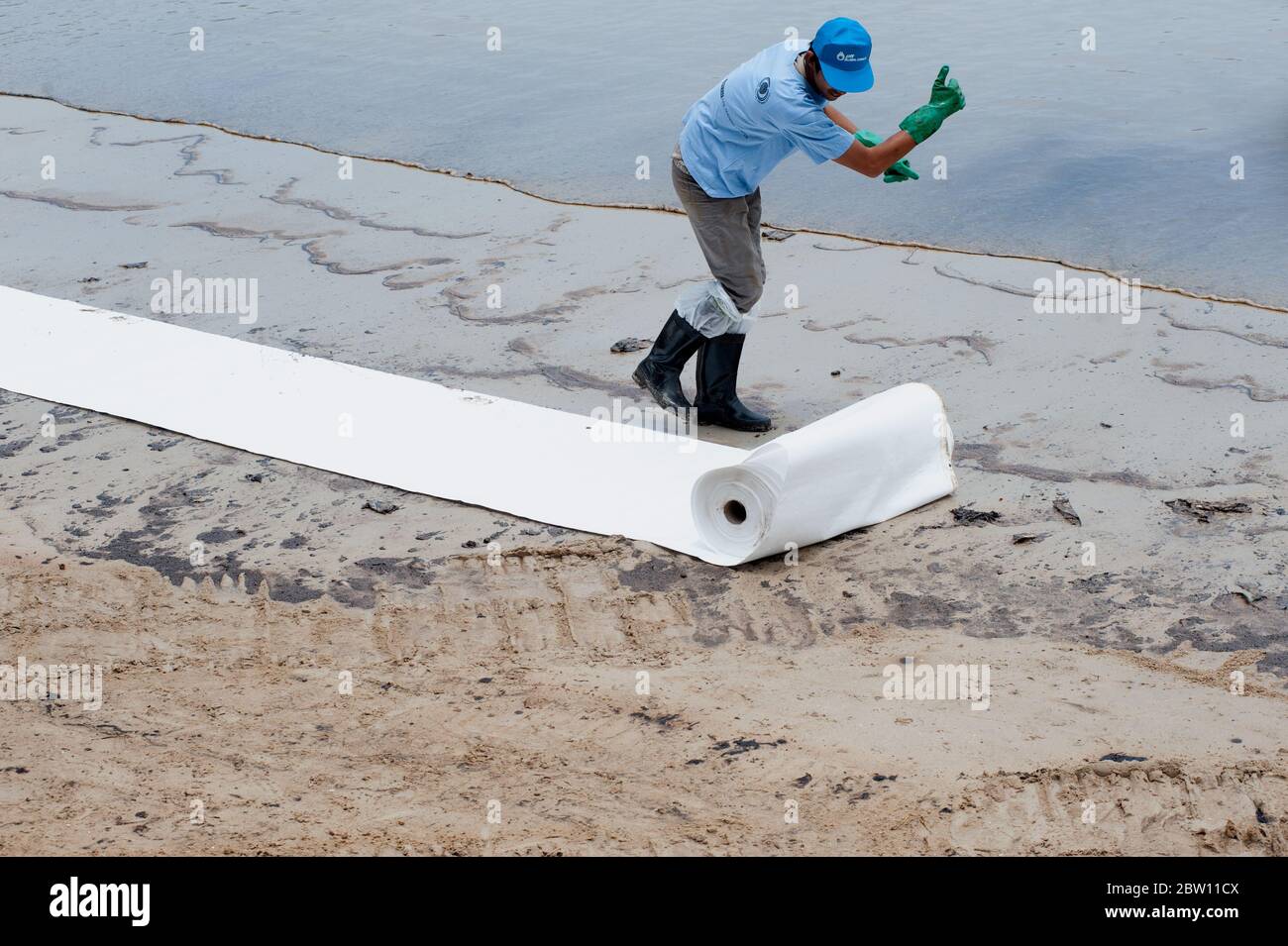 Workers and Volunteers remove and clean up crude oil spilled with ...