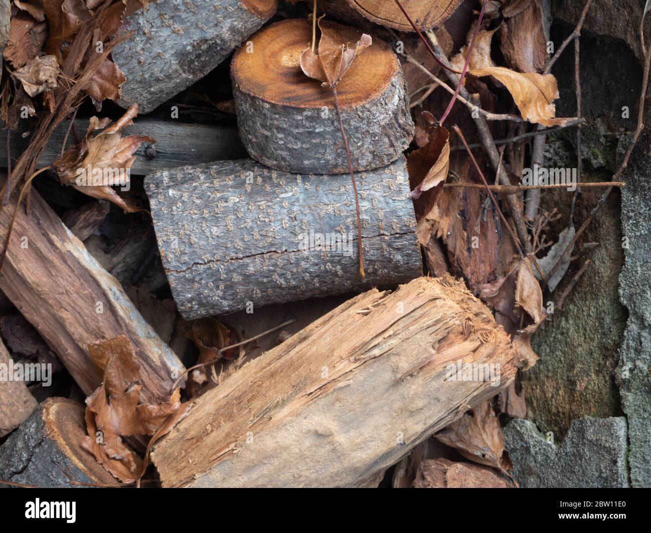 Knock on the log hi-res stock photography and images - Alamy