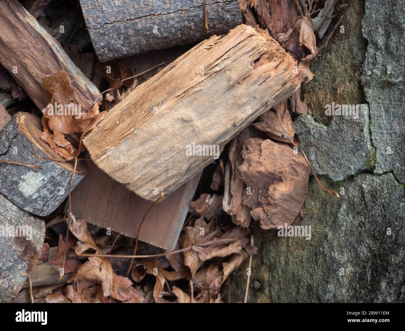 chopped up wood on the ground Stock Photo - Alamy
