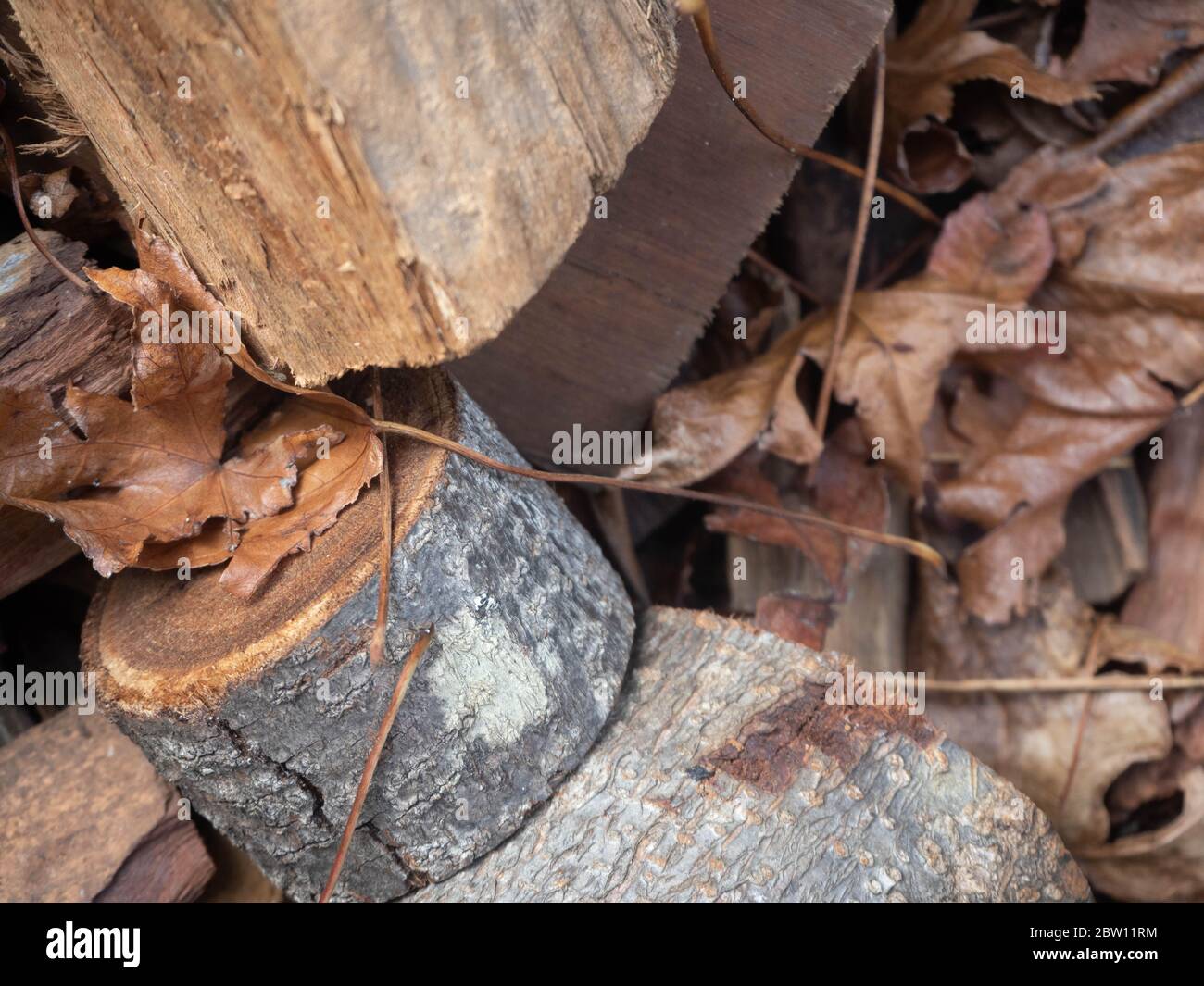 chopped up wood on the ground Stock Photo - Alamy