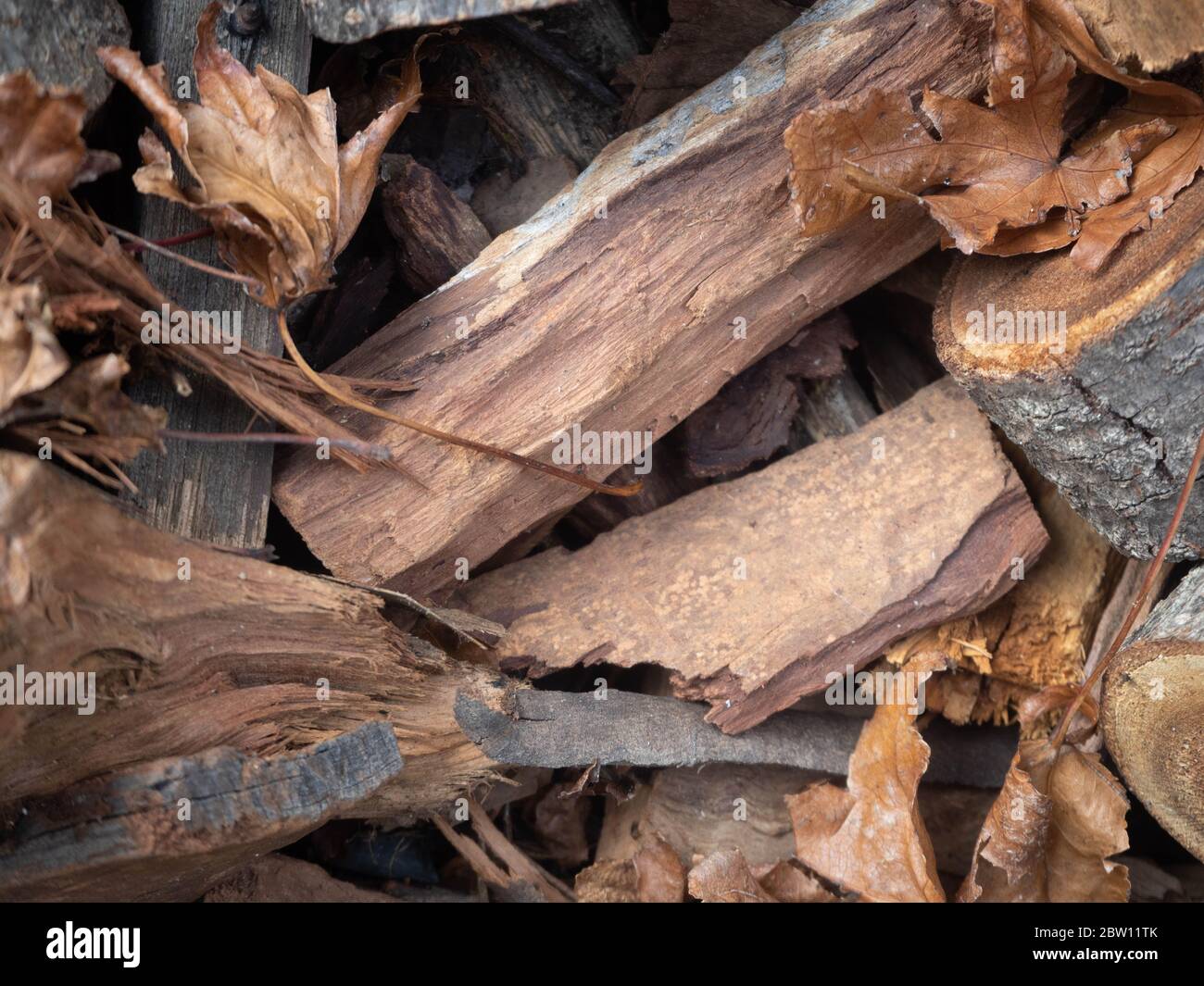 chopped up wood on the ground Stock Photo - Alamy