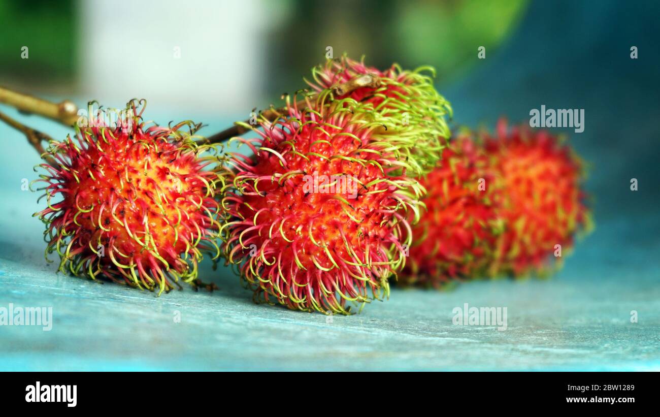 Rambutan background hi-res stock photography and images - Alamy