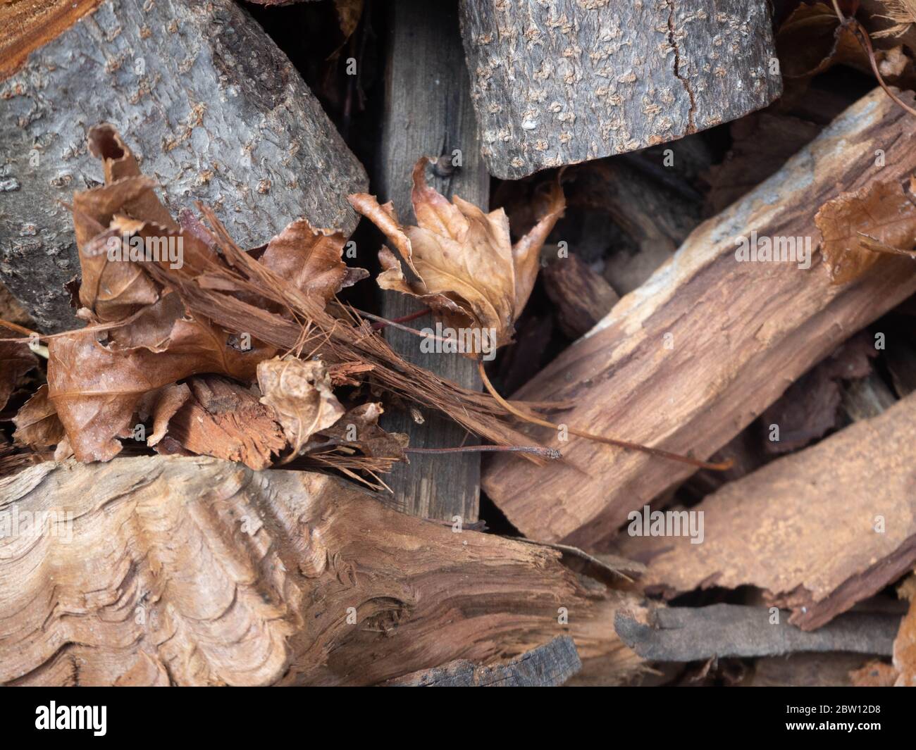 chopped up wood on the ground Stock Photo - Alamy