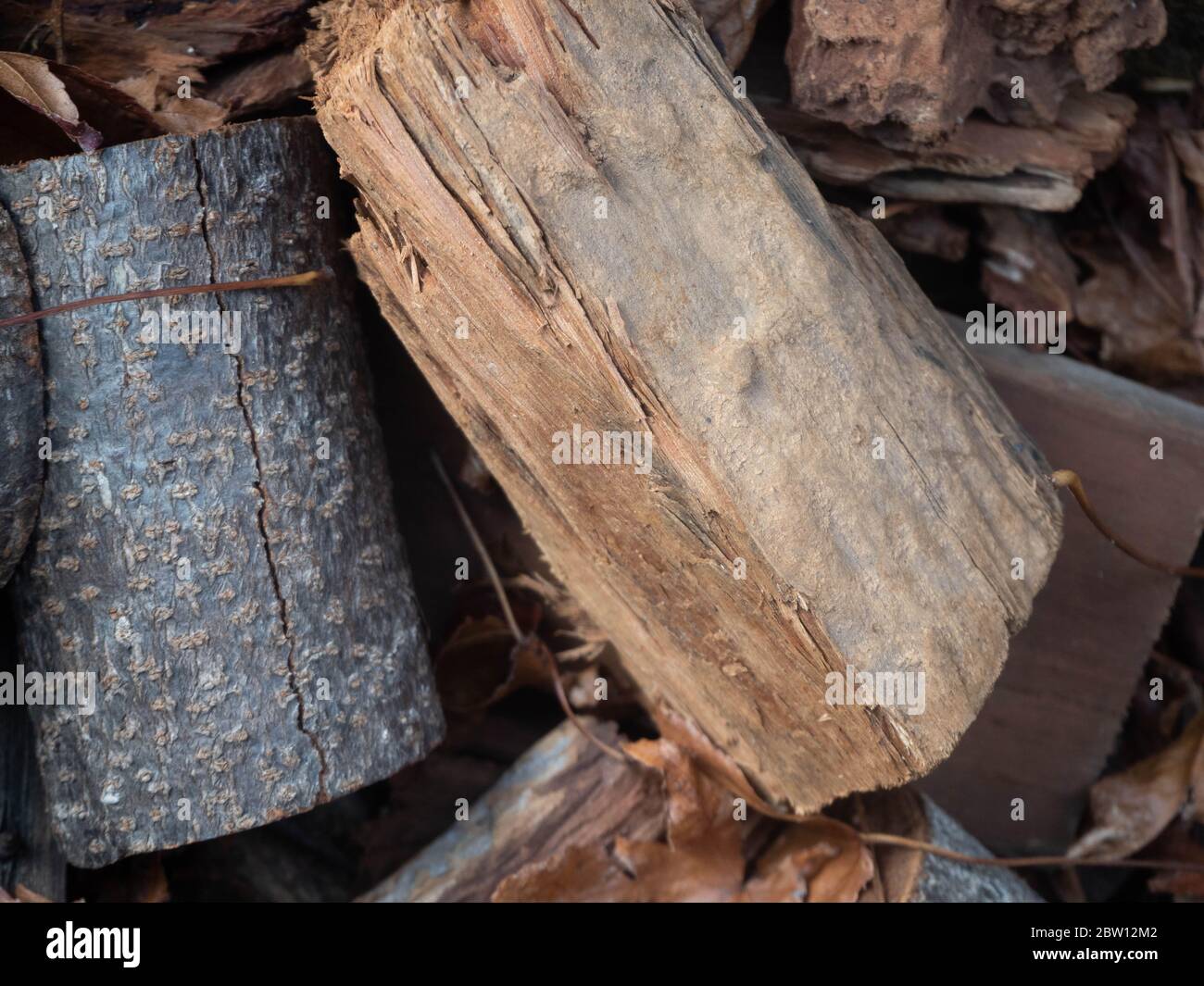 chopped up wood on the ground Stock Photo - Alamy