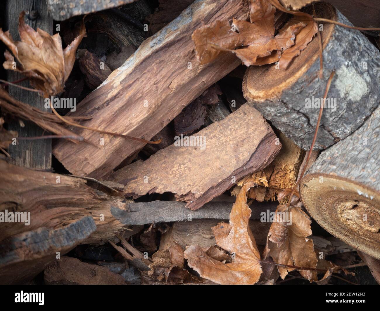 chopped up wood on the ground Stock Photo - Alamy