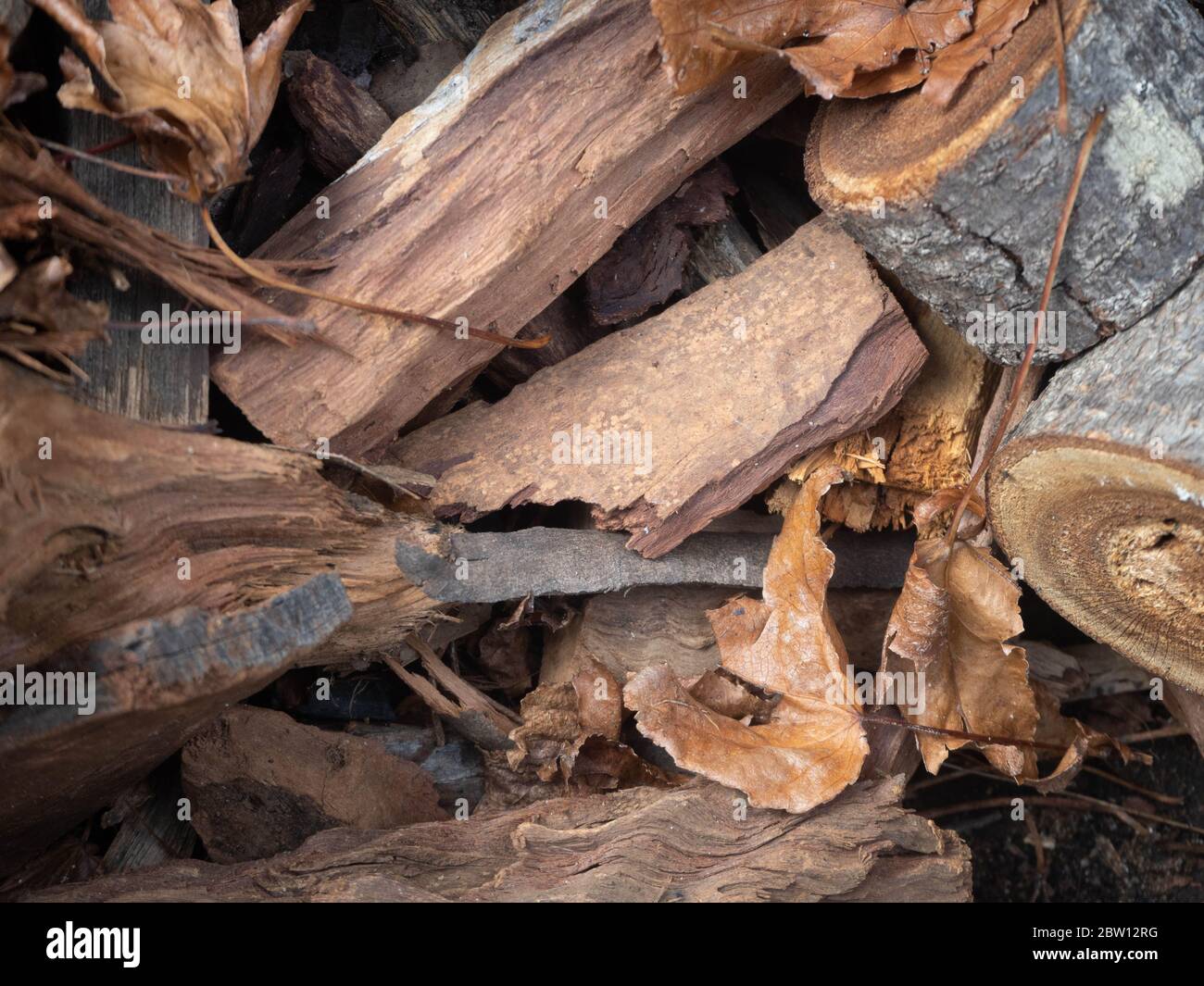 chopped up wood on the ground Stock Photo - Alamy