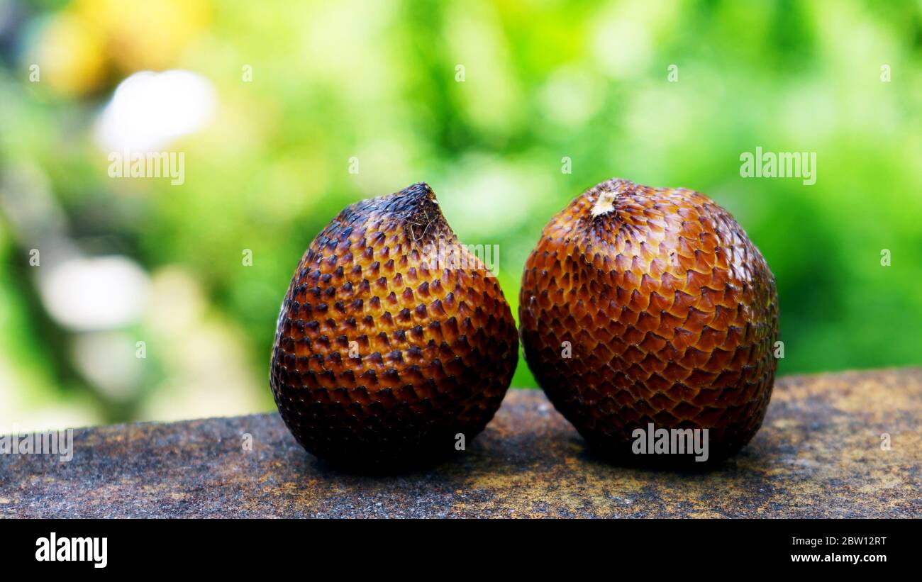 Snake fruit hi-res stock photography and images - Alamy