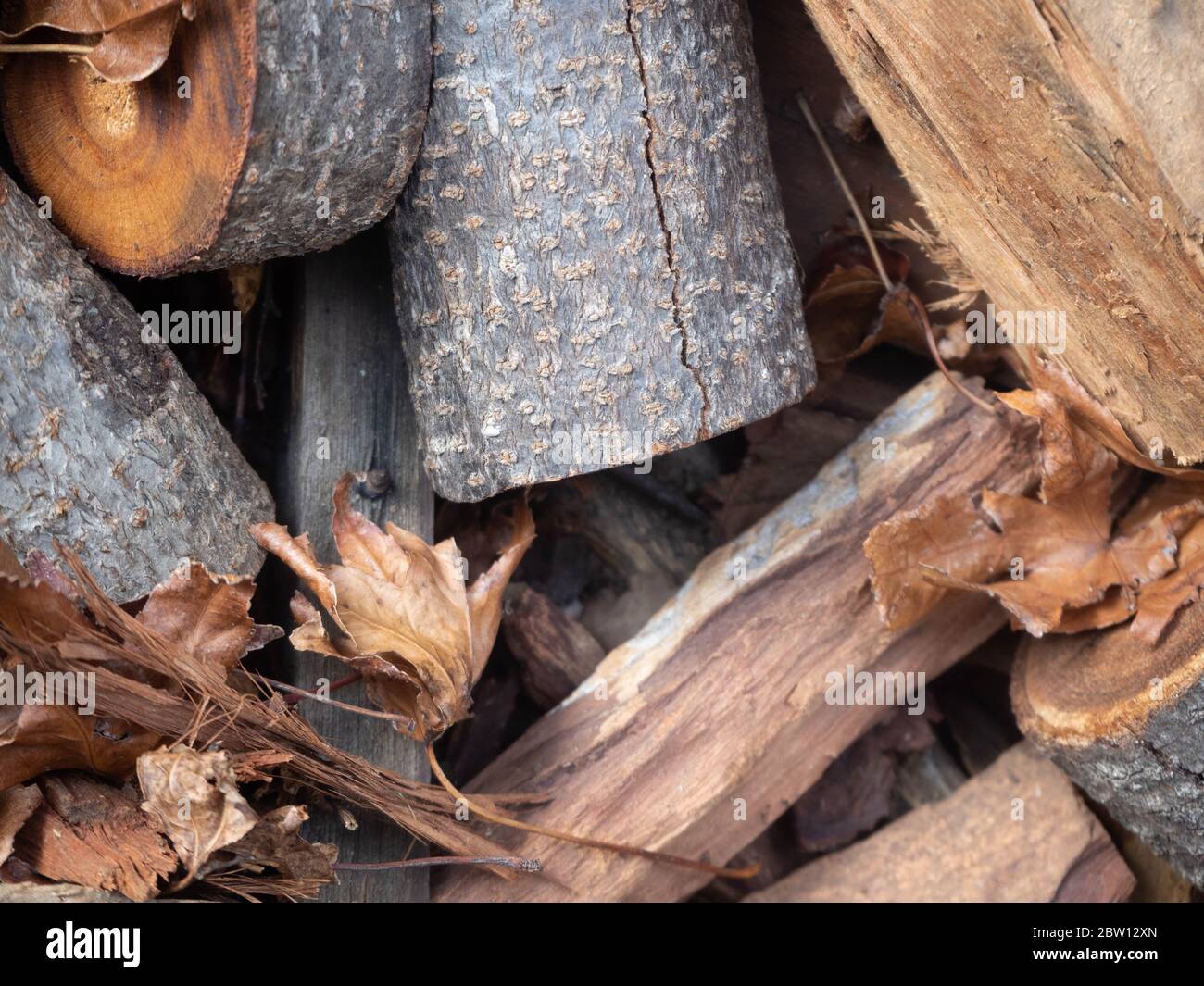 chopped up wood on the ground Stock Photo - Alamy