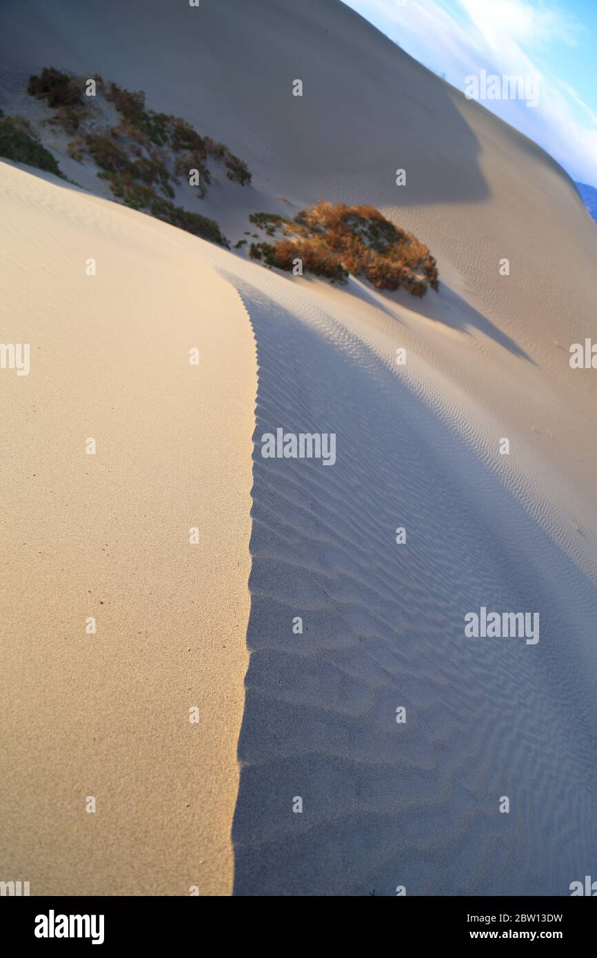 Sweeping Sand Dune at Mesquite Sand Flats, Death Valley Stock Photo - Alamy