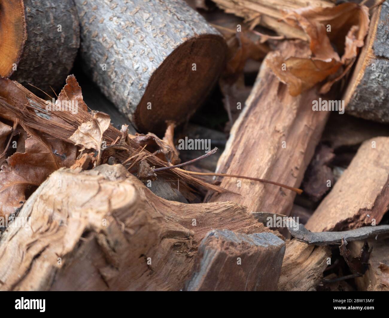 chopped up wood on the ground Stock Photo - Alamy