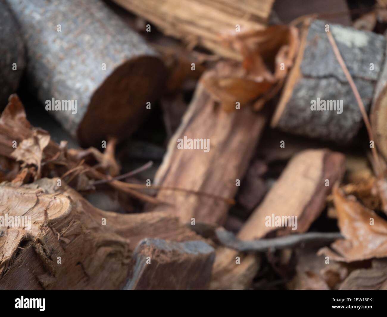 chopped up wood on the ground Stock Photo - Alamy