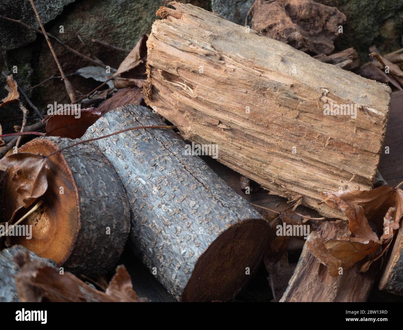chopped up wood on the ground Stock Photo - Alamy