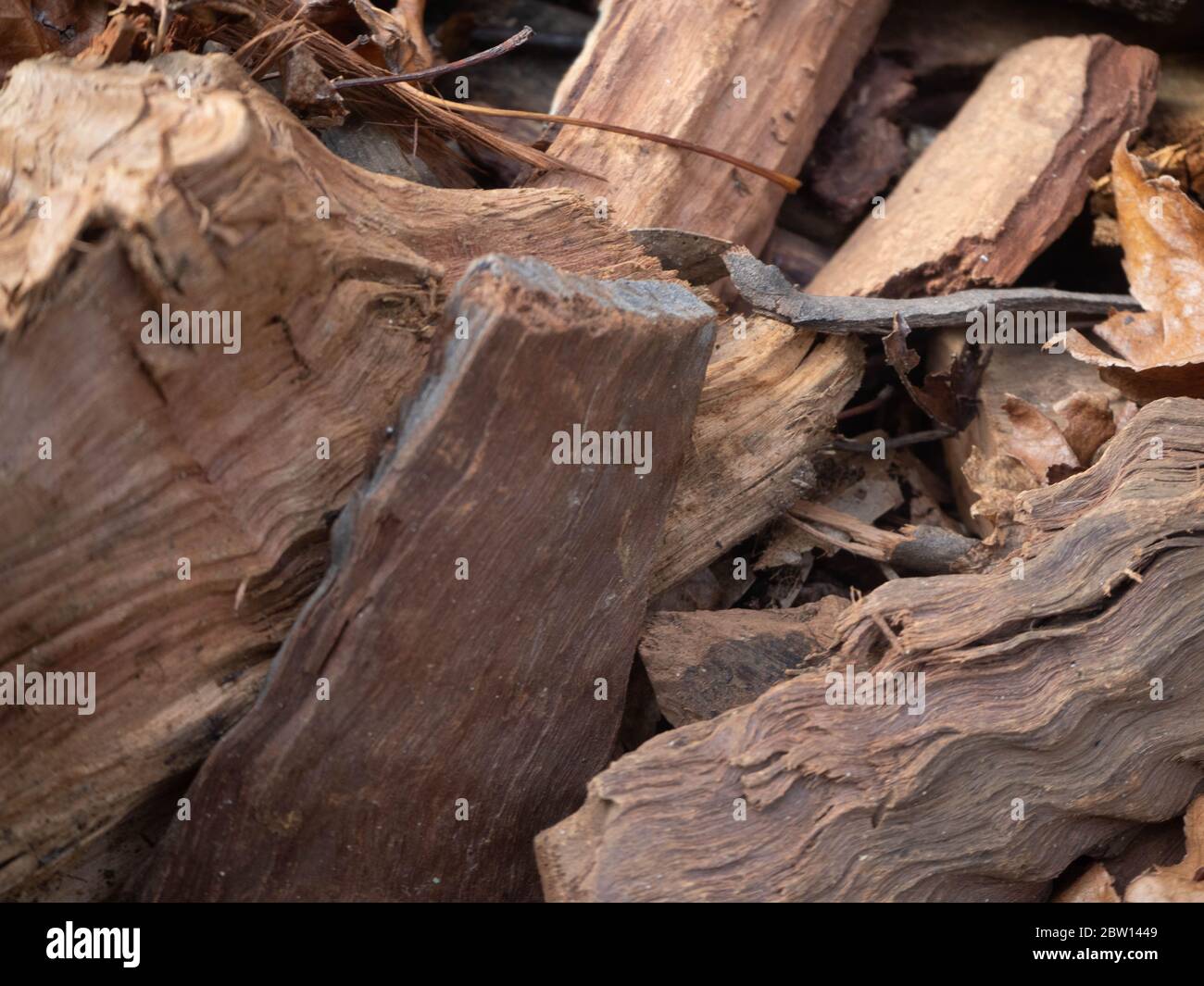 chopped up wood on the ground Stock Photo - Alamy
