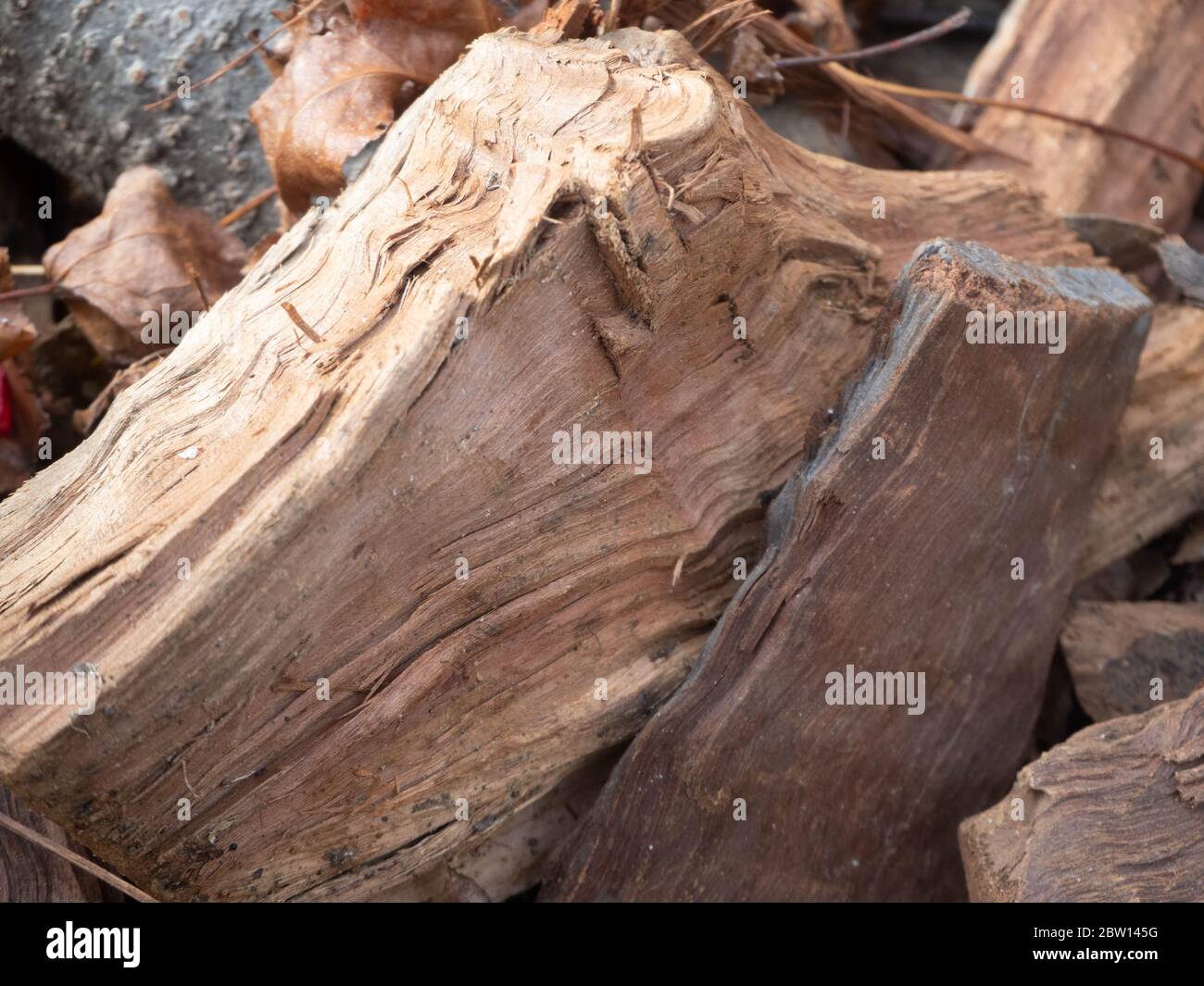 chopped up wood on the ground Stock Photo - Alamy