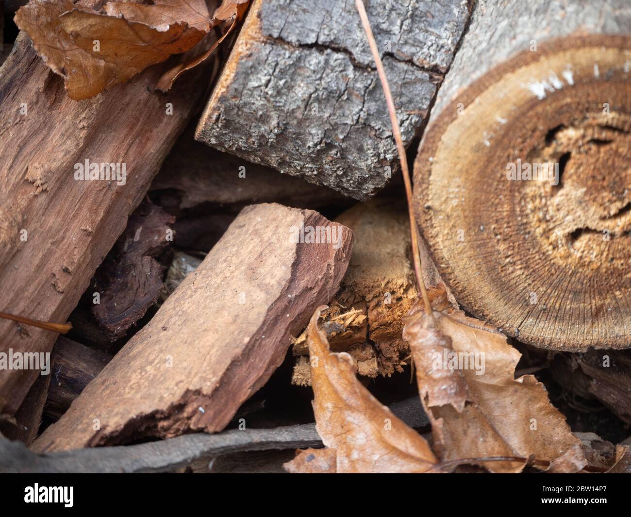 chopped up wood on the ground Stock Photo - Alamy