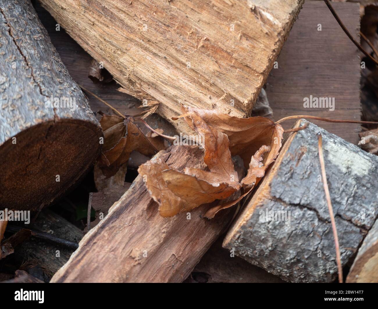 chopped up wood on the ground Stock Photo - Alamy