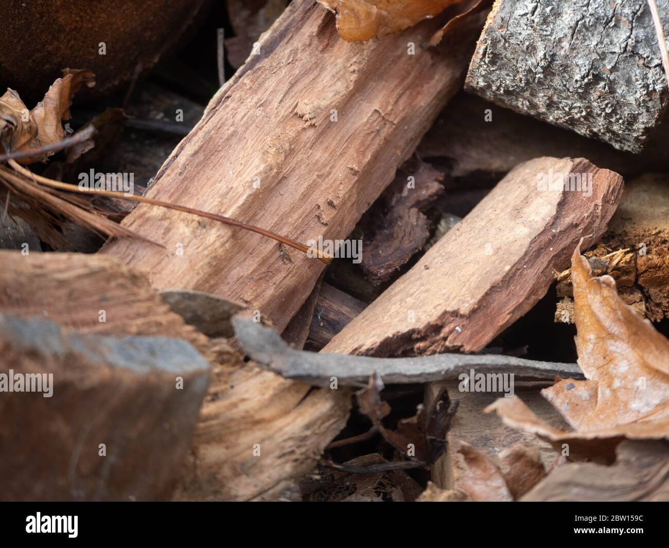 chopped up wood on the ground Stock Photo - Alamy
