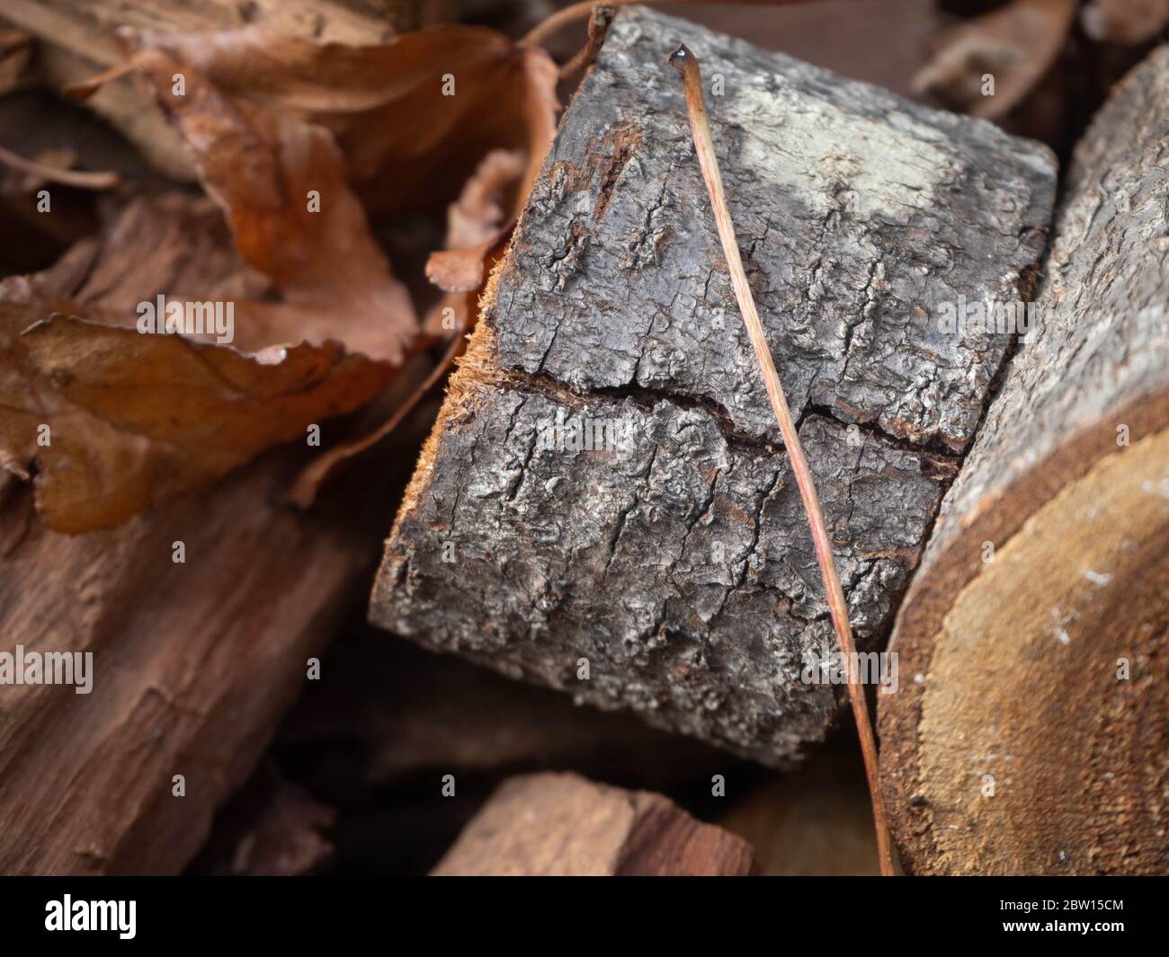 chopped up wood on the ground Stock Photo - Alamy