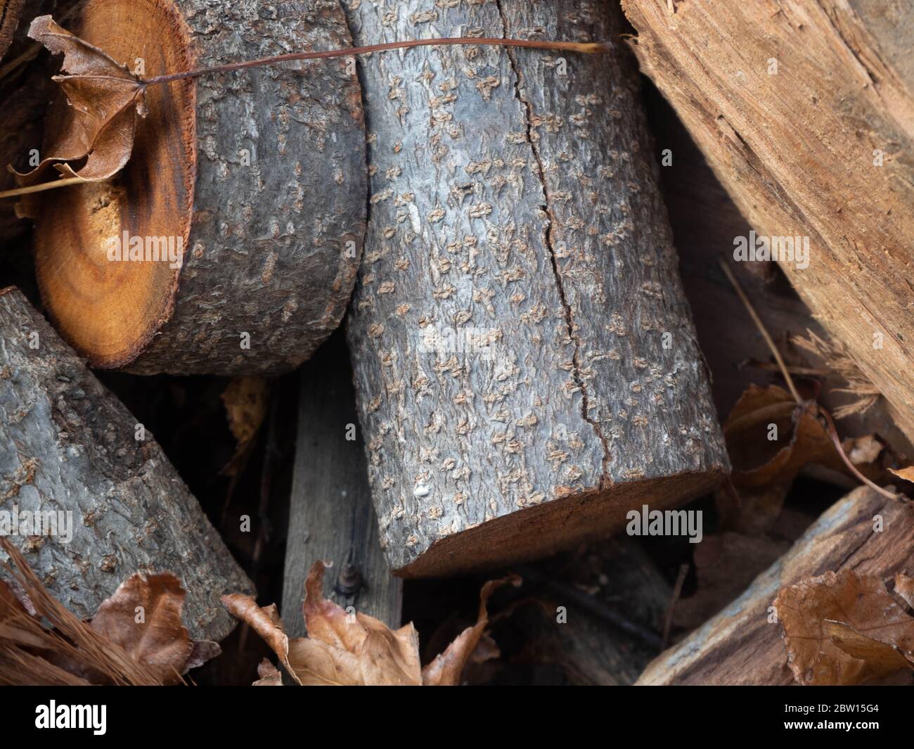 chopped up wood on the ground Stock Photo - Alamy