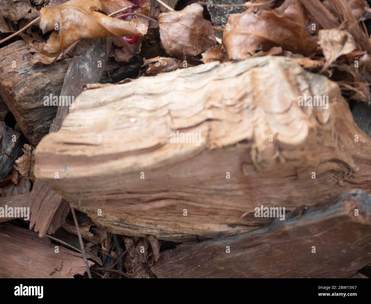 chopped up wood on the ground Stock Photo - Alamy