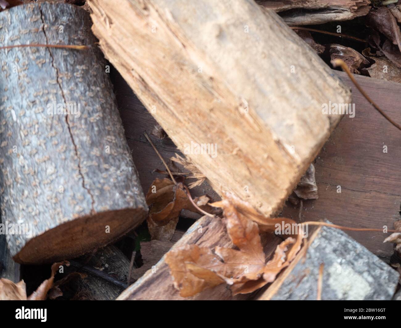 chopped up wood on the ground Stock Photo - Alamy