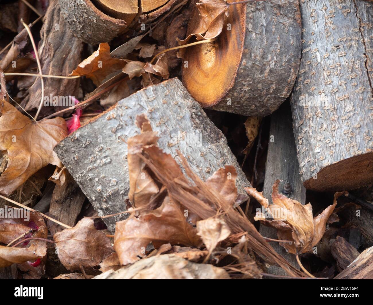 chopped up wood on the ground Stock Photo - Alamy