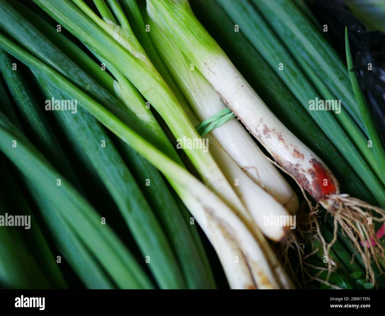 Spring onion recipe hi-res stock photography and images - Alamy