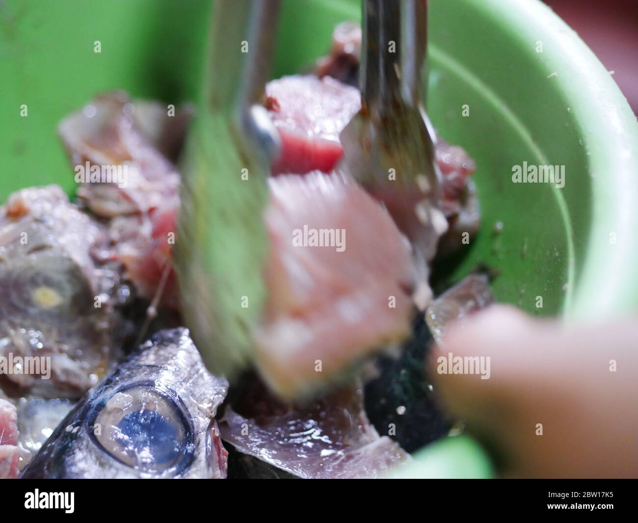 Fresh slice milkfish in plastic basket Stock Photo - Alamy
