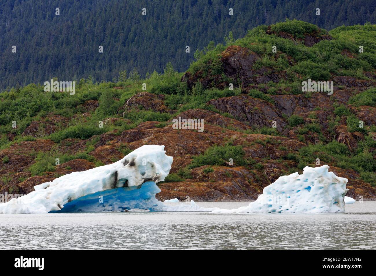 Icebergs in Mendenhall Glacier Lake,Juneau,Alaska,USA Stock Photo - Alamy