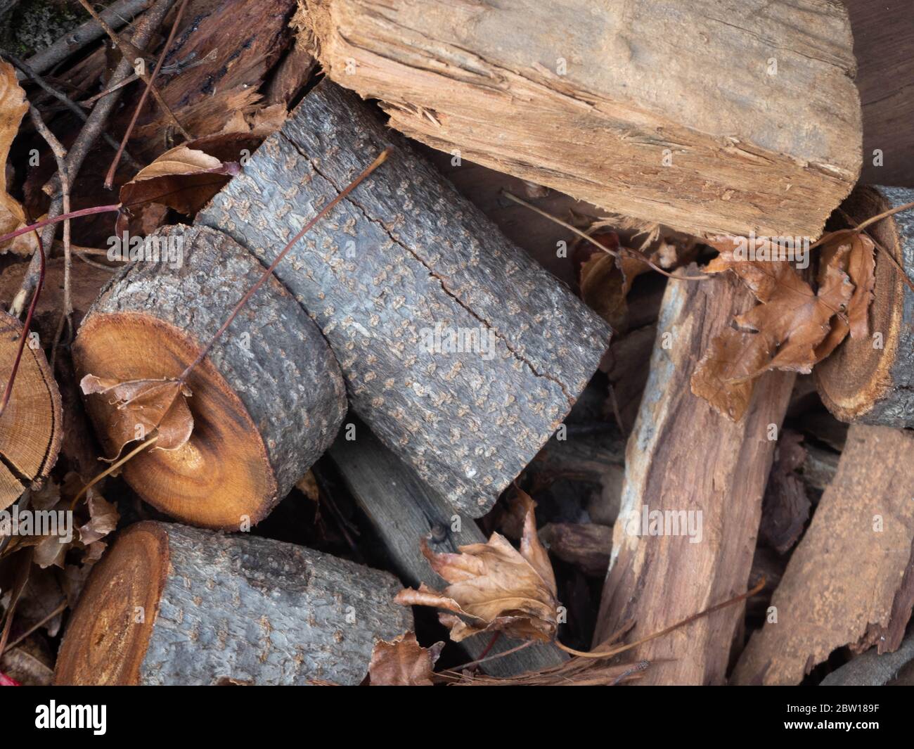 chopped up wood on the ground Stock Photo - Alamy