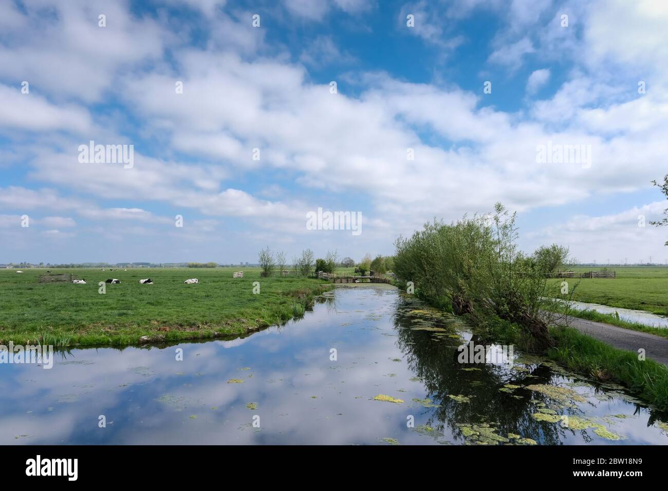 Dutch meadow panoramic landscape. Cobblestone road going through the ...