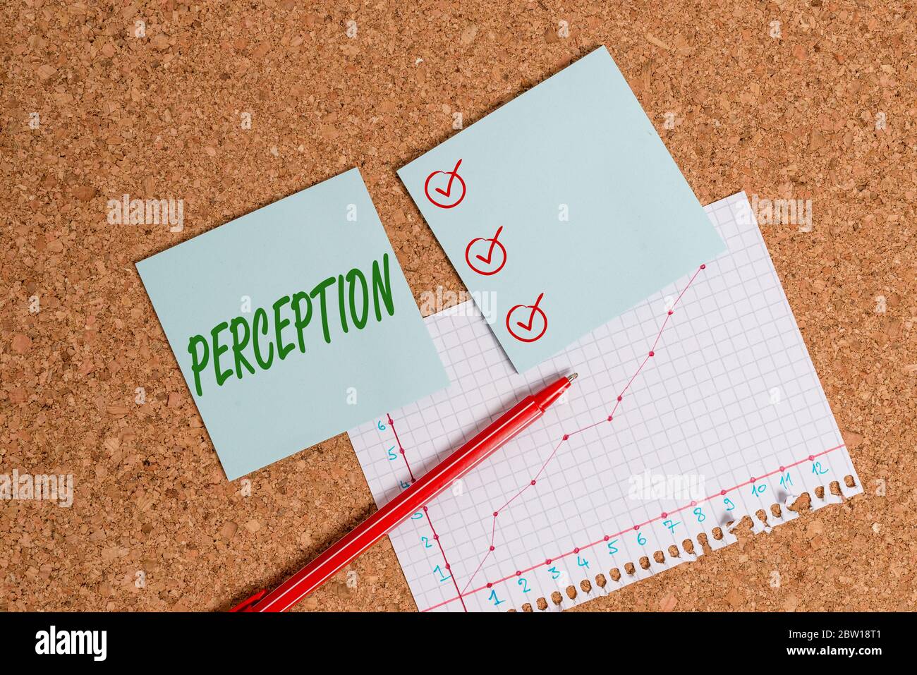 Text sign showing Perception. Business photo text individuals organize ...