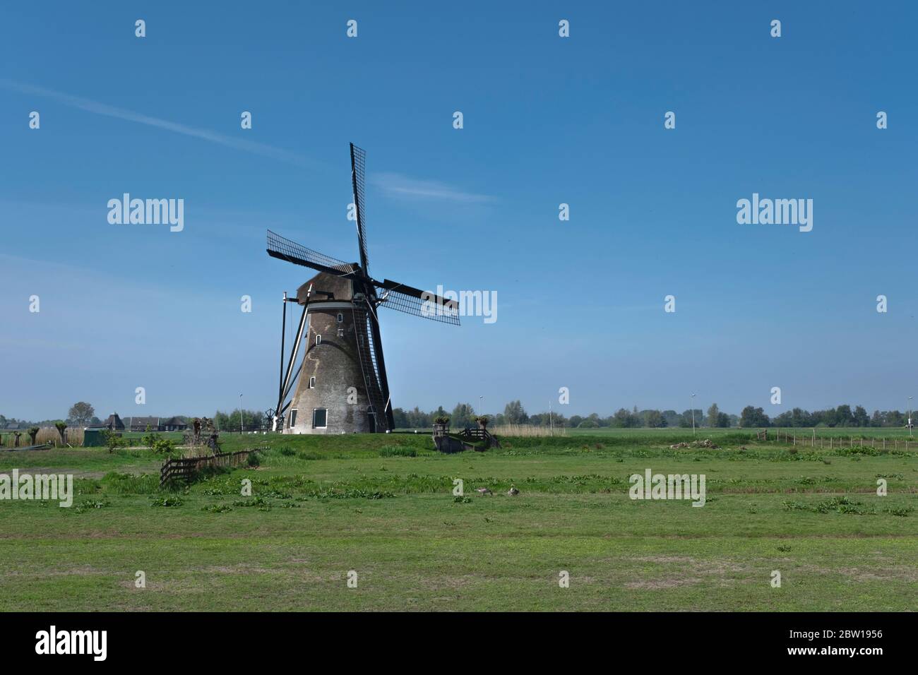 beautiful windmill landscape in the netherlands. Unesco Site Stock ...