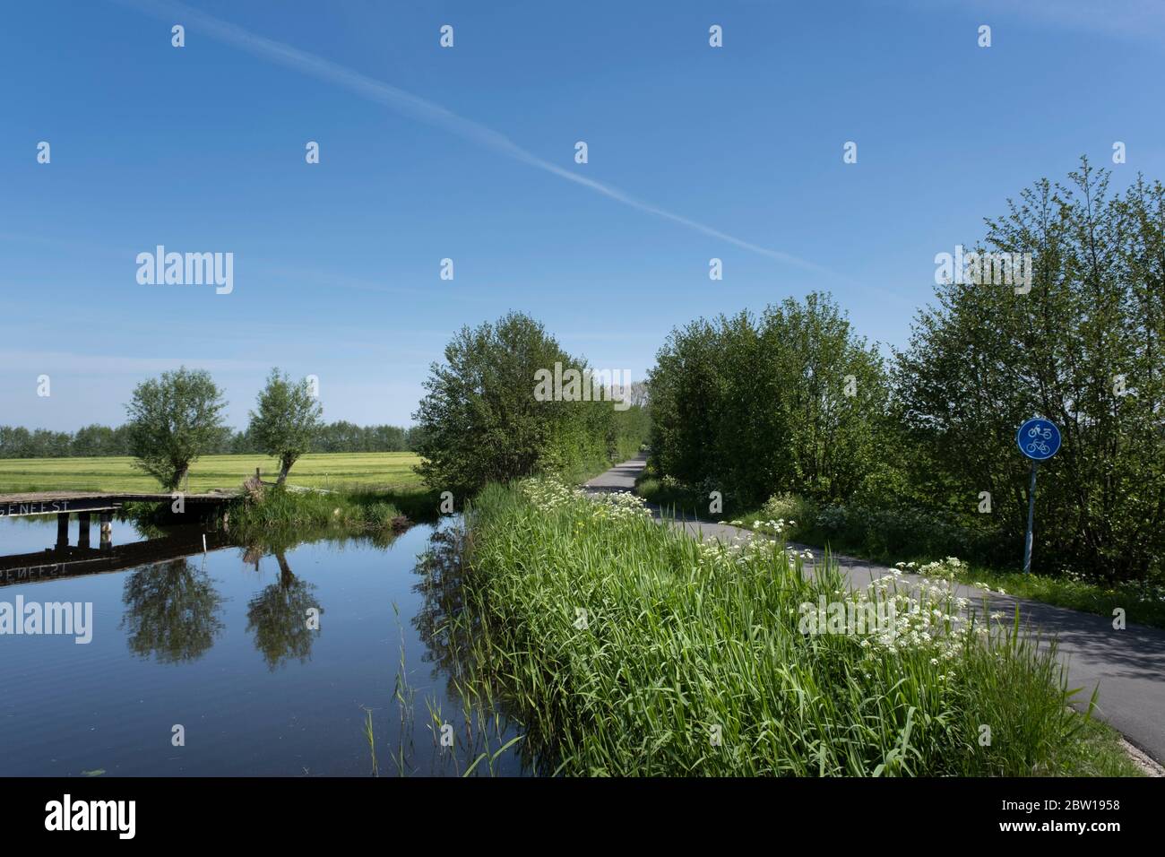 Dutch polder landscape during sunrise with riparian plants, meadows and ...