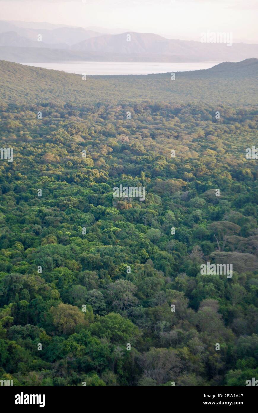 Arba minch hi-res stock photography and images - Alamy