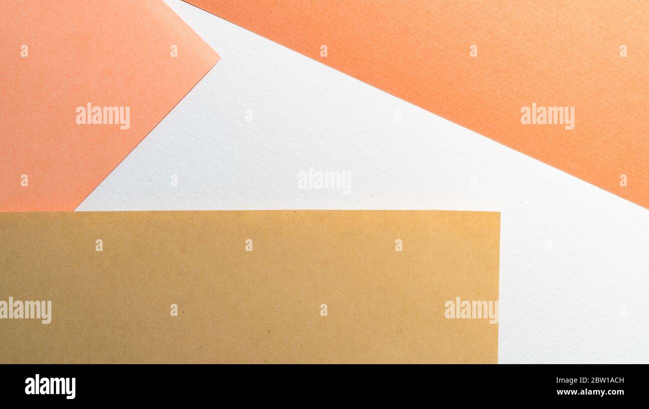 Color papers geometry shape composition background with white beige ...
